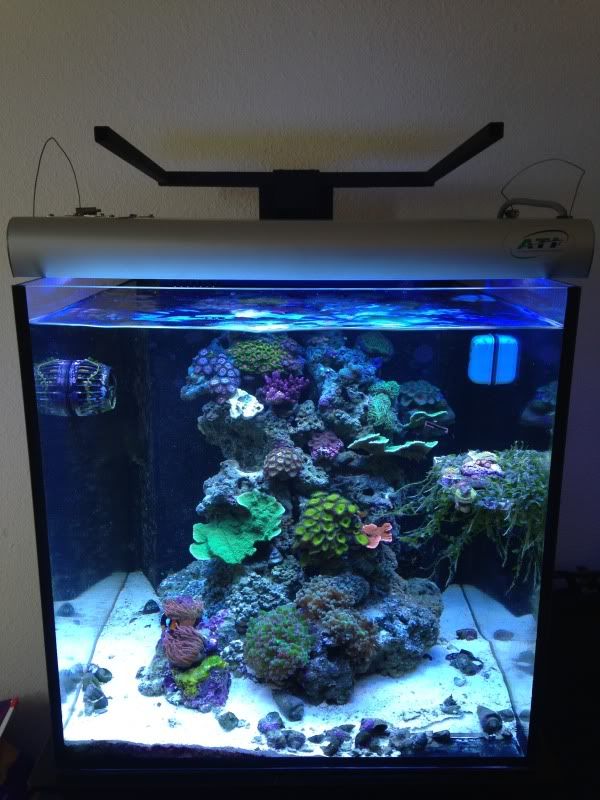 Power Module ATI 4 bulb | REEF2REEF Saltwater and Reef Aquarium Forum