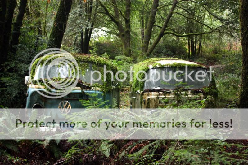 these two look sad ! | Volkswagen Type 2 Early Bay Forum