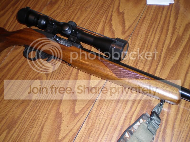 refinishing stock? | Rimfire Central Firearm Forum