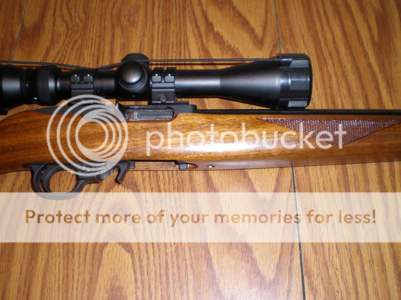 refinishing stock? | Rimfire Central Firearm Forum