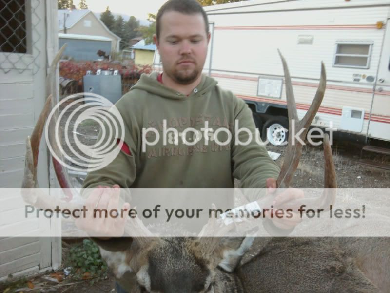 Vernon Deer Hunt | Utah Wildlife Forum