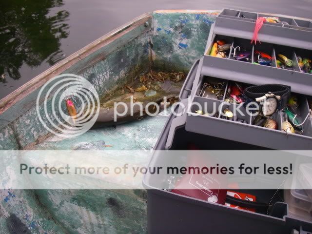 What do you do on Salt Spring Island? : r/vancouver