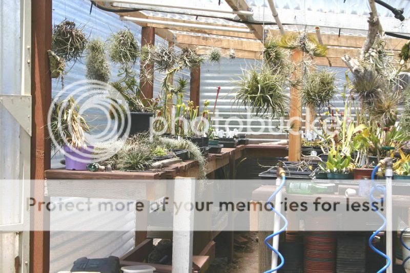 Tim's new greenhouse - CactiGuide.com