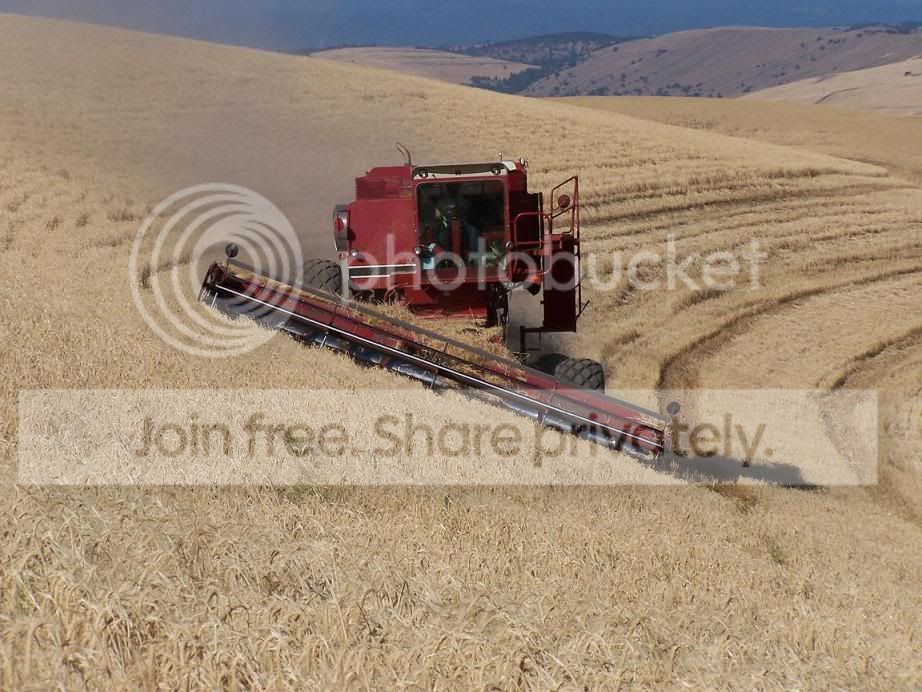Hillside Combines | The Combine Forum
