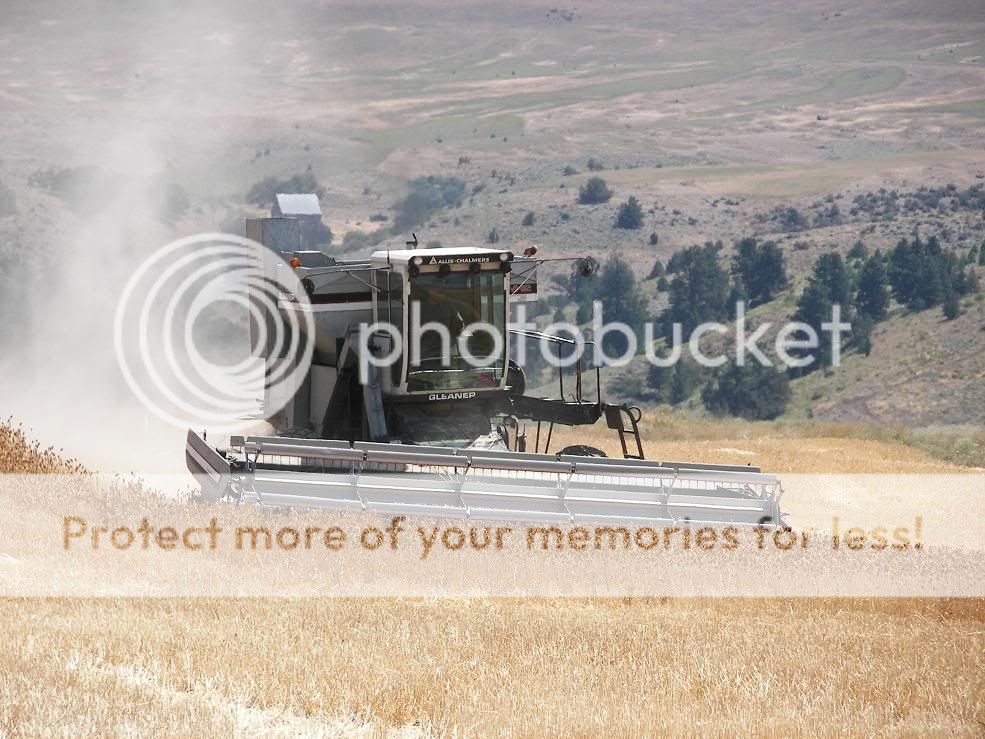 Side Hill MH2 Gleaner | The Combine Forum