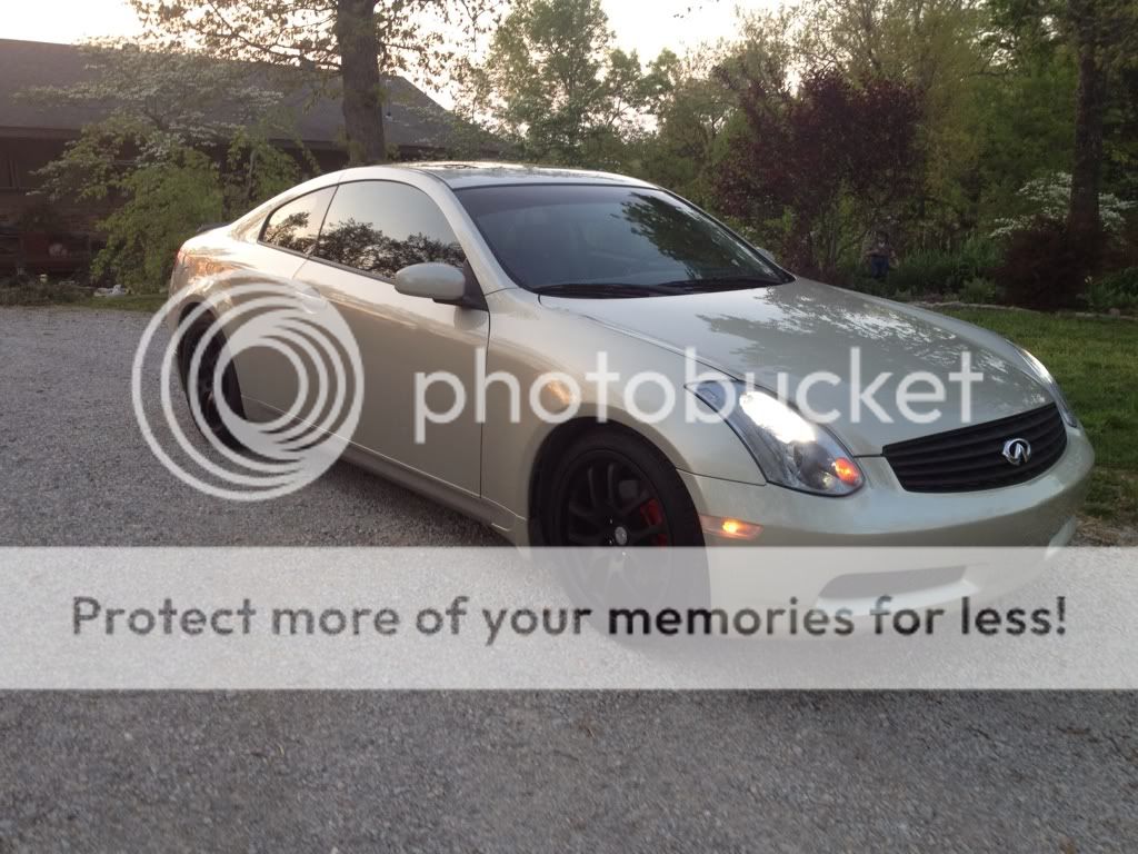 What do you think? | Infiniti G35 G37 Forum
