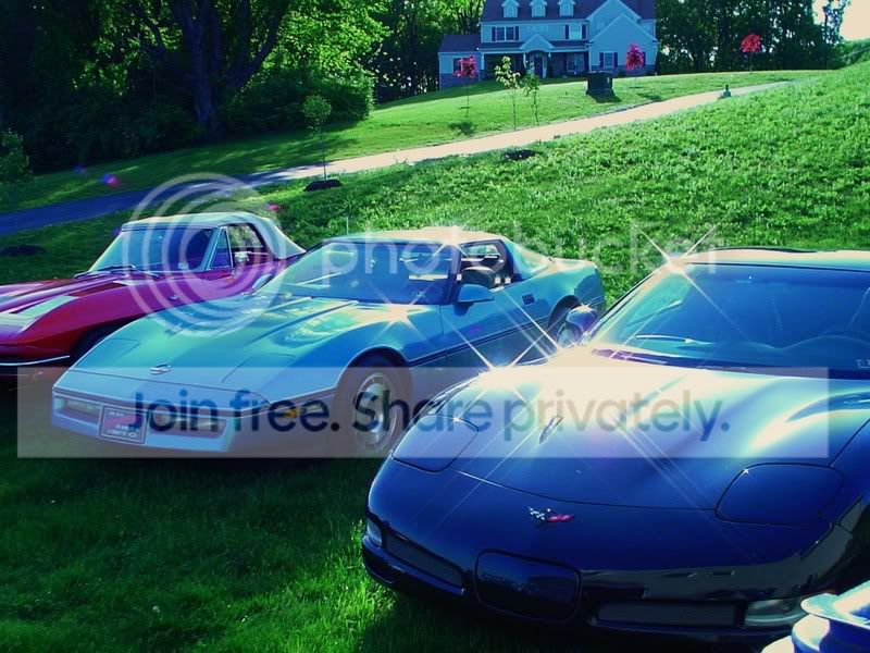 Pictures Of The Family! - CorvetteForum - Chevrolet Corvette Forum ...