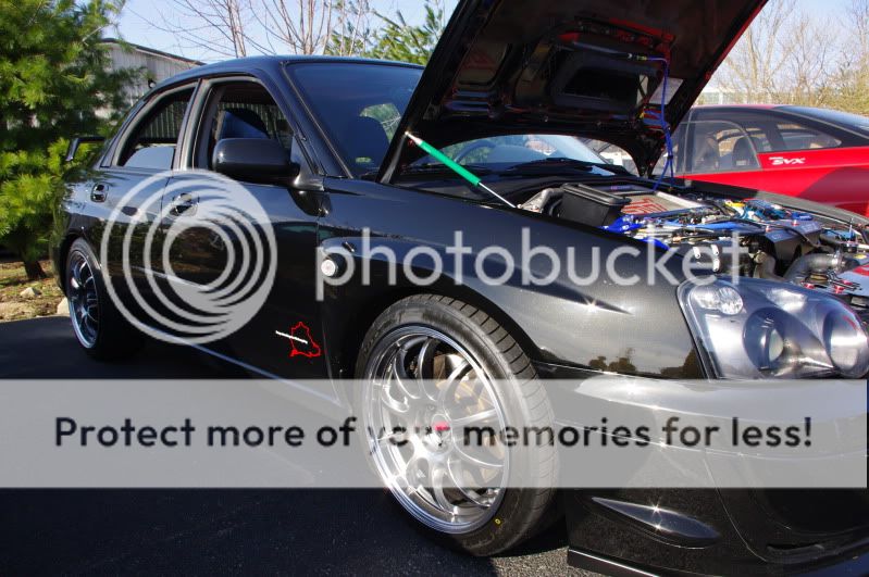 Java Black Pearl Thread - Page 2 - NASIOC