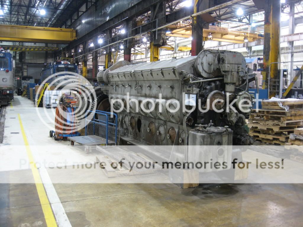 Oh Yeah Baby W-16 - Shoptalkforums.com