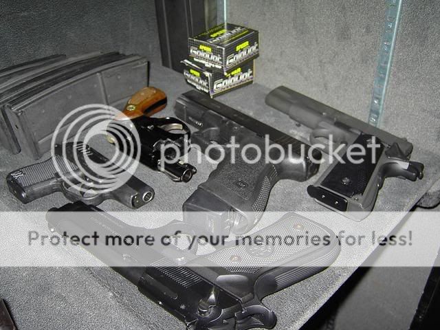 Guys with overflowing gun safes-- question - AR15.COM