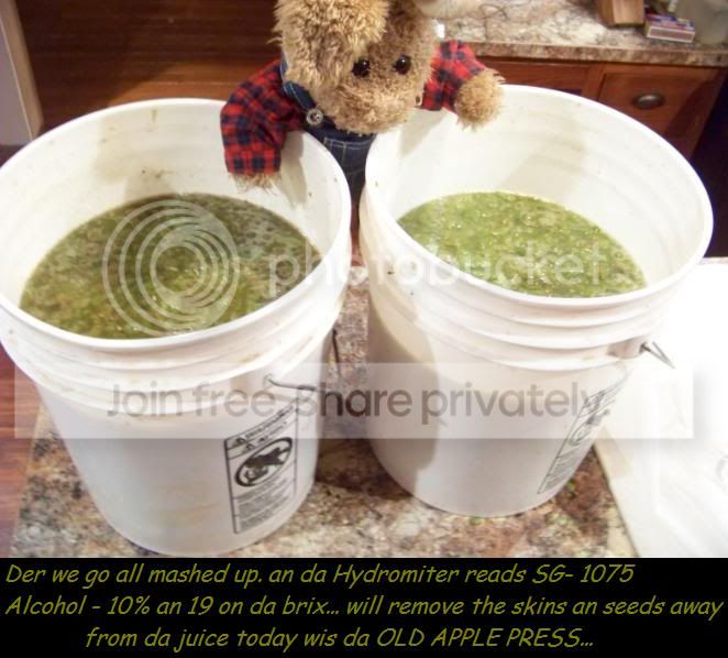 DaBunnys First Edelweiss Grape wine: | Winemaking Talk - Winemaking ...